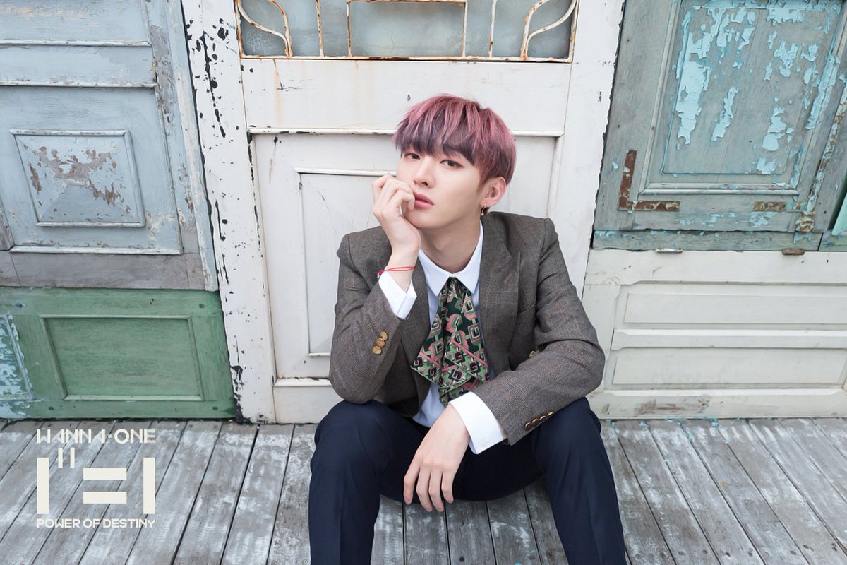 Wanna One Member Profiles: Hyung Line – Katherine Does K-POP